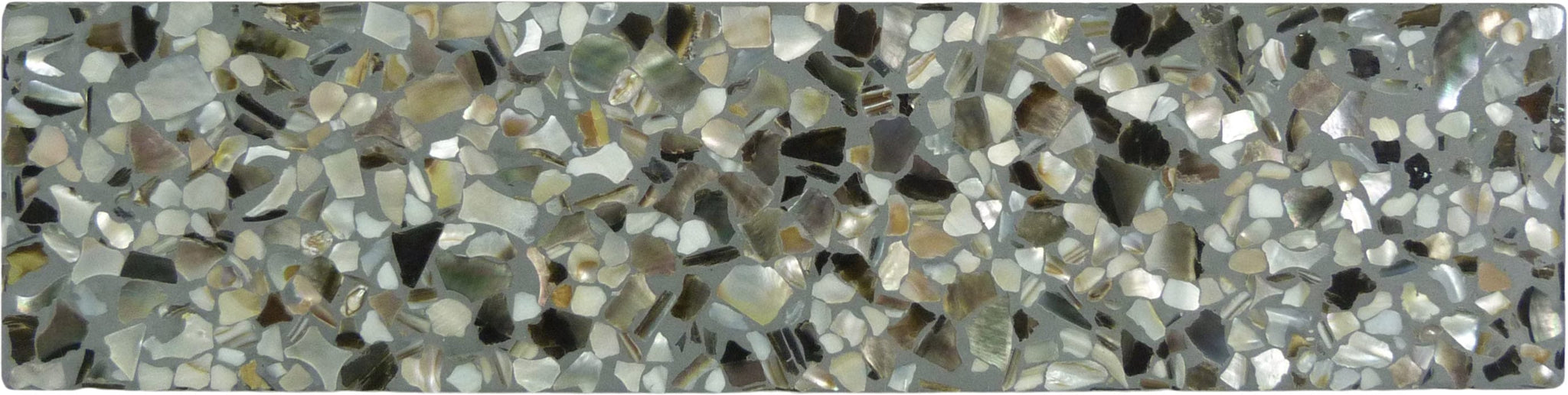 Aquaterra Black Brick Terrazzo and Shell Polished Tile | Oasis Tile