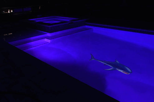 Great White Shark 29x65 Porcelain Mosaics Pool Tile | Oasis Tile