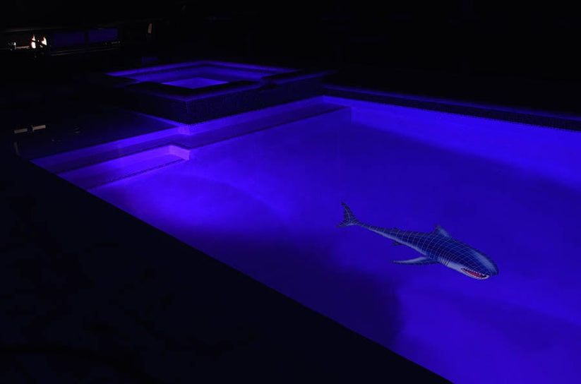 Great White Shark 29x65 Porcelain Mosaics Pool Tile | Oasis Tile