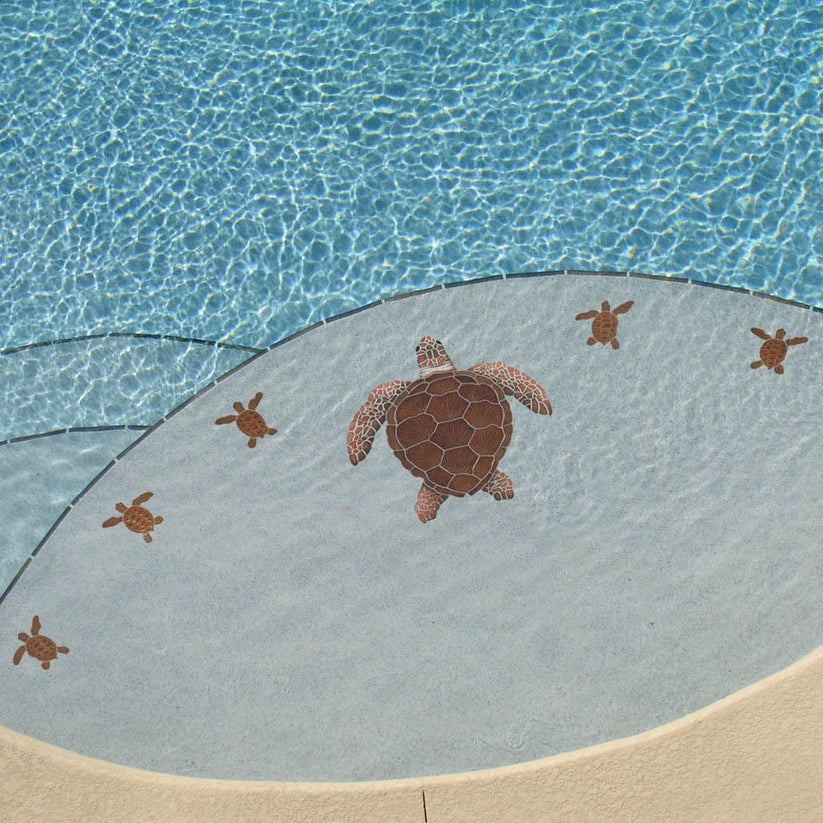 Loggerhead Turtle B Mini Brown Porcelain Mosaics Pool Tile | Oasis Tile