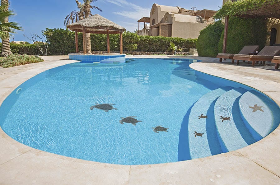 Loggerhead Turtle B Mini Brown Porcelain Mosaics Pool Tile | Oasis Tile