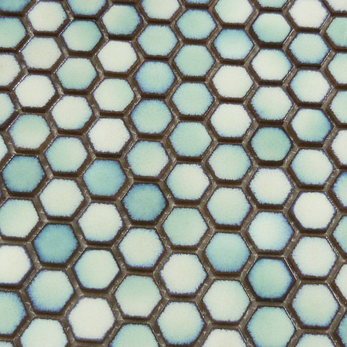 Natura Abalone Glossy Porcelain Hexagon Tile | Oasis Tile