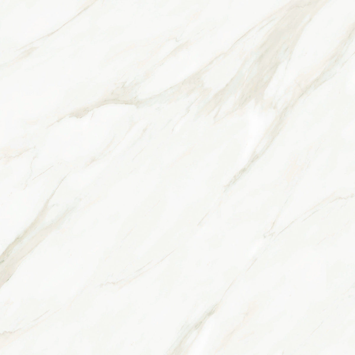 Iceland Statuario White 24x24 Matte Porcelain Tile | Oasis Tile