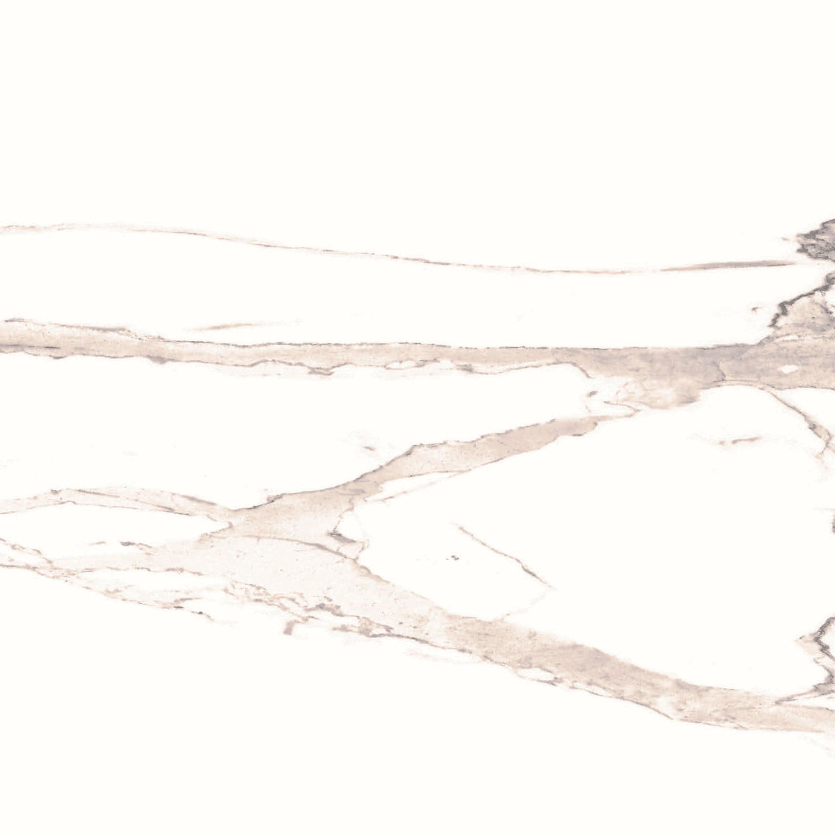 Jolly Statuario White 24x24 Matte Porcelain Tile | Oasis Tile